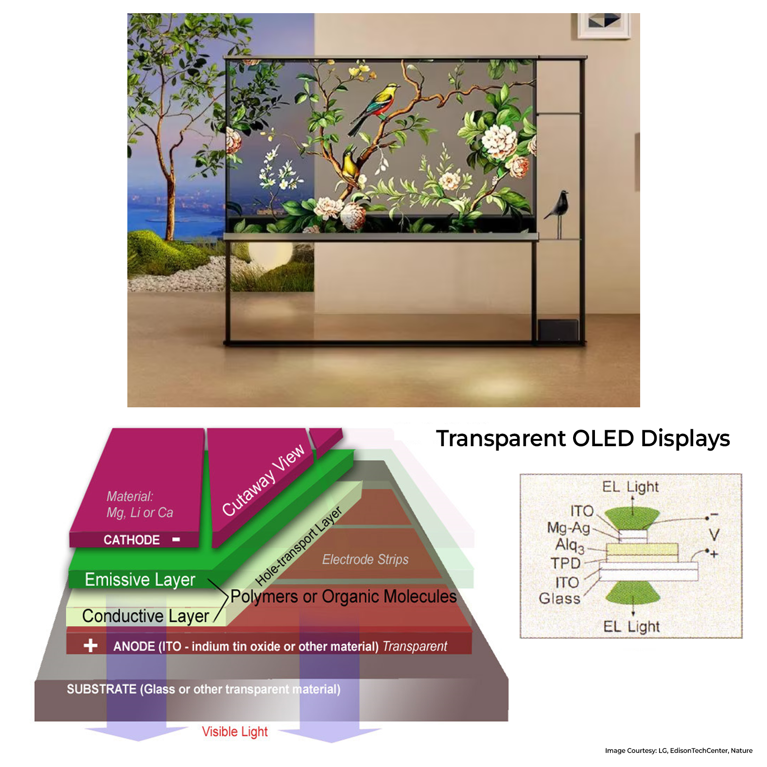 Tech Insights: Transparent TVs - The Tech Blog